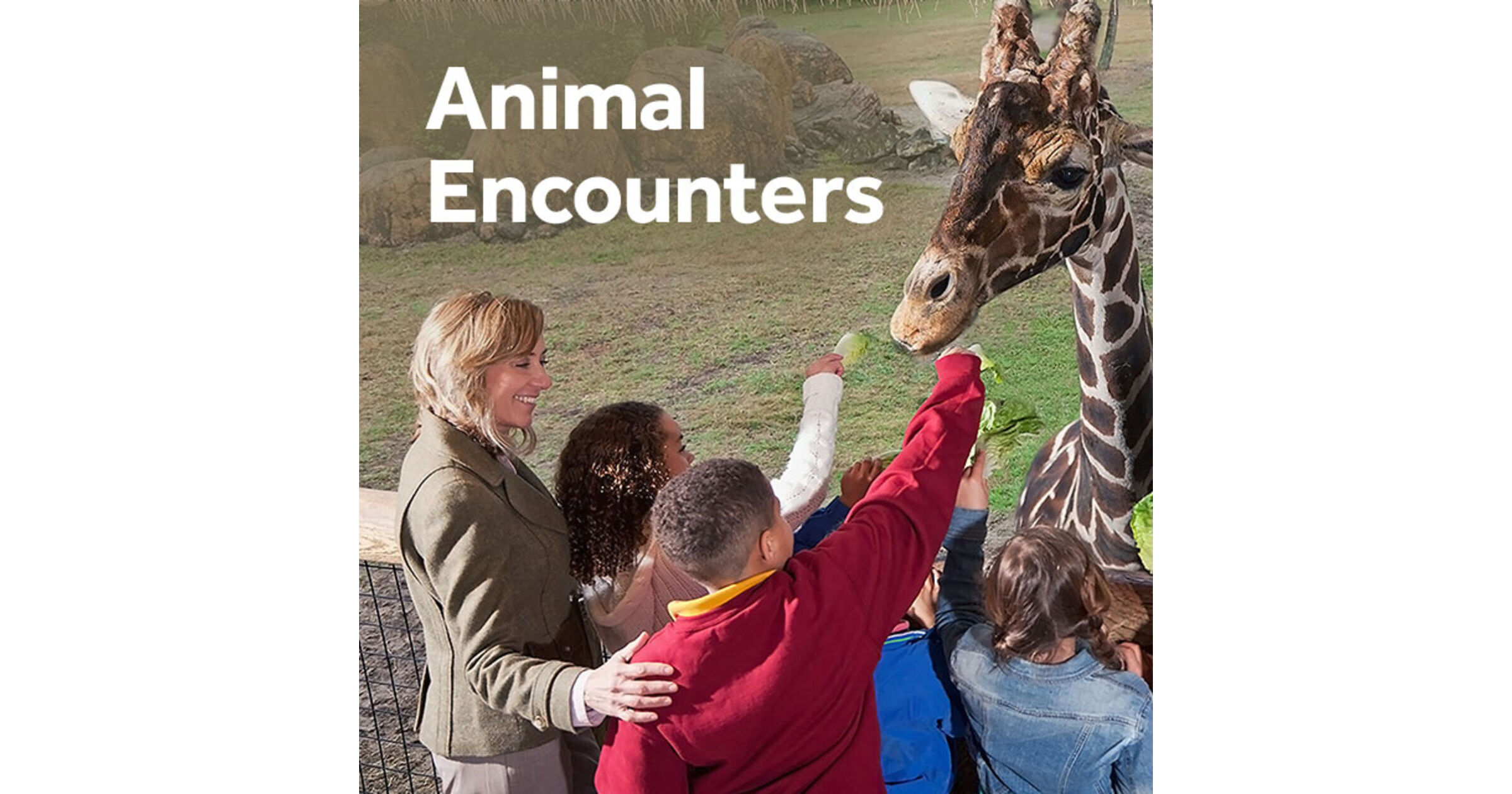 Animal Encounters
