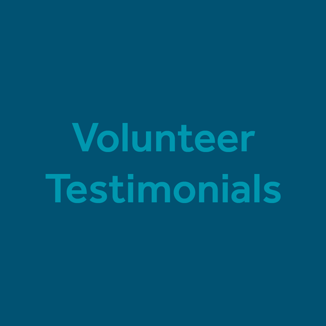 Volunteer Roles