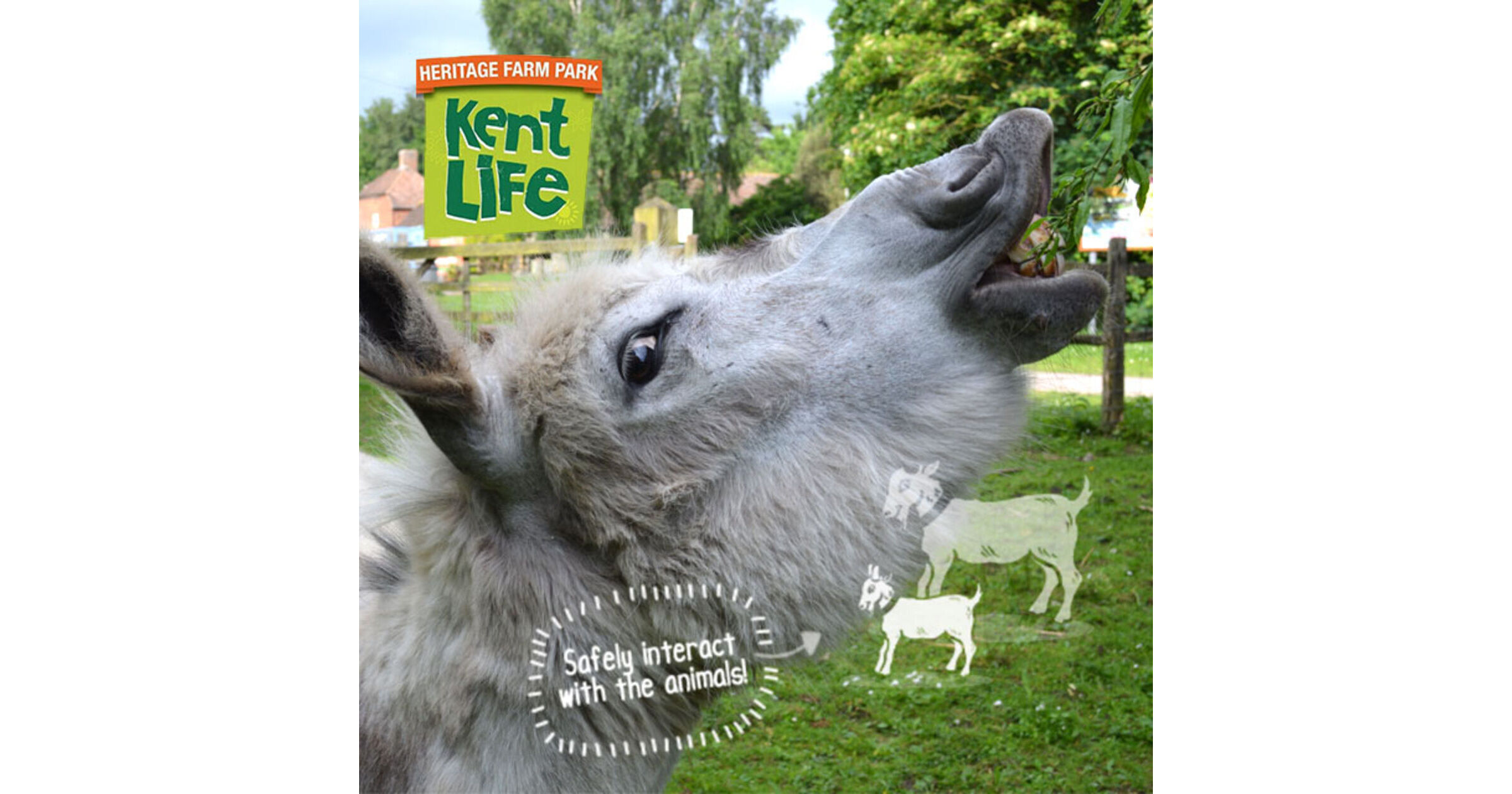 Kent Life Heritage Farm Park