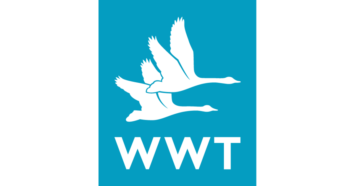 WWT